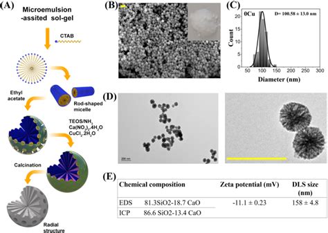 Synthesis And Optimization Of Mbgns Through The Microemulsion Assisted