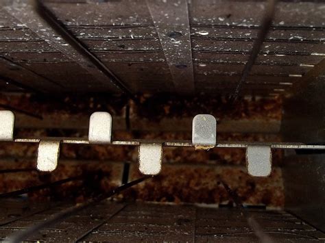 Common Toaster Mistakes You May Be Making Reader S Digest Canada