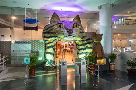 15 Cat Museums Every Feline Fan Needs To Visit Traveling Cats