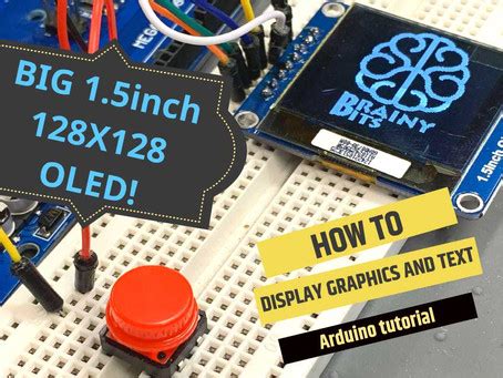 Brainy Bits Tutorials Page 3 Of 10