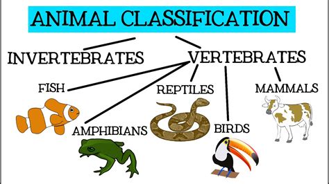 13 Astounding Facts About Taxonomic Classification