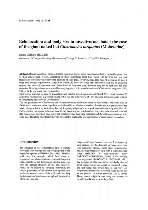 PDF Echolocation And Body Size In Insectivorous Bats The Case Of The Giant Naked Bat