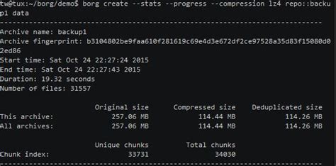 borg deduplicating backup software linuxlinks