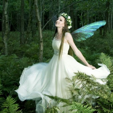 Fairy Pictures - Gay Ass