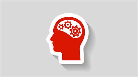 Python Pusher ELearning Bundle GTALux