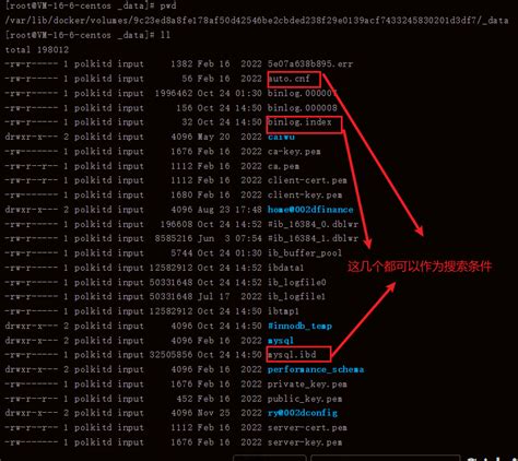 Docker系列 mysql容器手动停止后重启服务器mysql容器被删掉了如何恢复mysql数据 Toy模板网