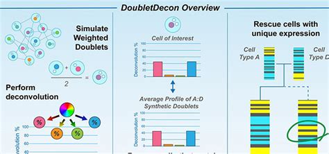 New Tool Improves Outcomes Of Single Cell Research Research Horizons