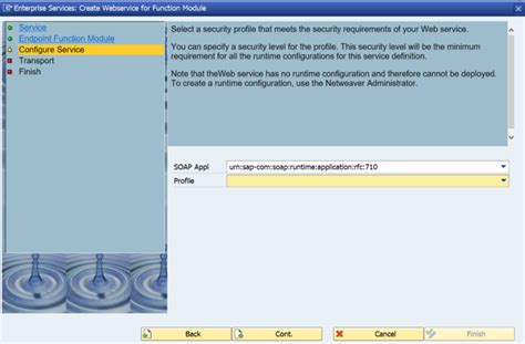 Sap Interfacing Exposing Web Services
