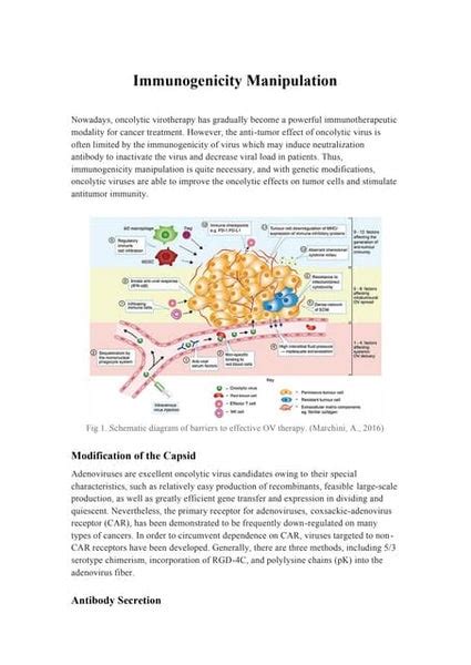 Cdc Complement Dependent Cytotoxicity
