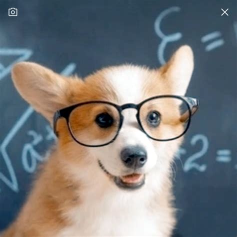 Homepage Of Chih Duo Hong 洪智鐸