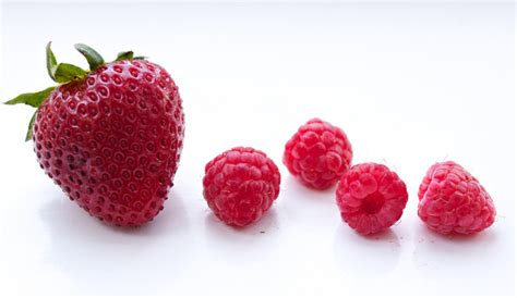 Berries Free Stock Photos Download 483 Free Stock Photos For Commercial Use Format HD High