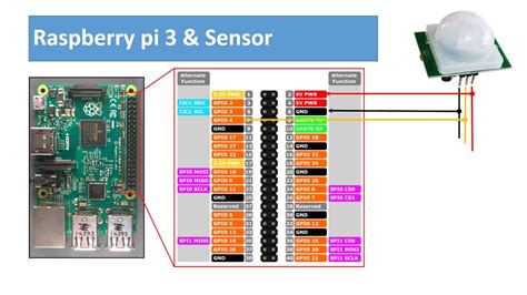 Raspberry Pi Ir Motion Sensor Raspberry