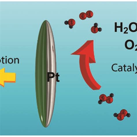 Schematic Of An Ellipsoidal Micro Swimmer Coated Along Its Major Axis Download Scientific