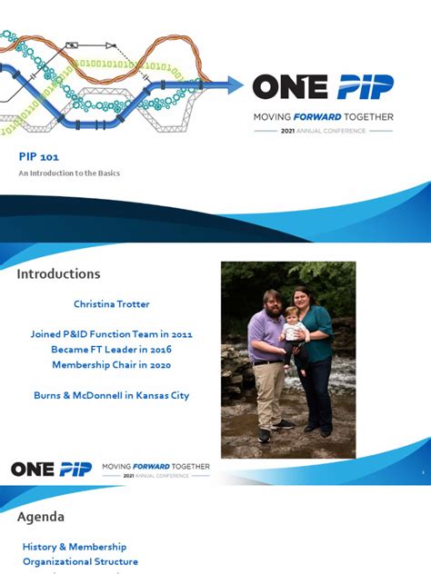 Pip 101 Intro To The Basics Pdf Business