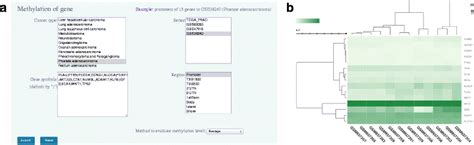 An Example Of Hierarchical Clustering Of Dna Methylation Data A The