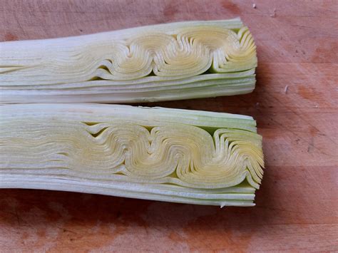 2421 Best Cross Section Images On Pholder Things Cut In Half Porn