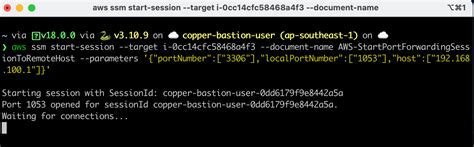 access to bastion host using aws ssm