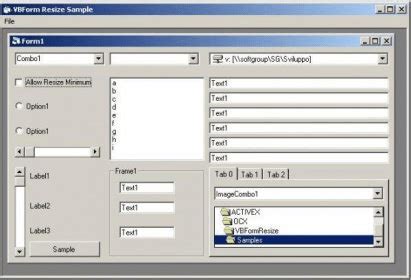 Softgroup VB Form Resize Download Softgroup VB Forms Resize Is A Fast Small And Lightweight