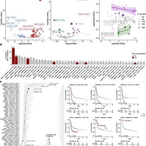 Distinct Patterns Of Mutation Co Occurrence Associate With Overall Download Scientific Diagram