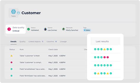 Snowflakes Data Metrics Functions In Datagalaxy