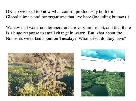 Ppt Ecosystem Type Net Primary Productivity Powerpoint Presentation Id 5848783