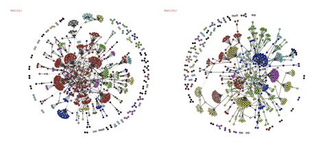 community detection in social networks agence web kernix