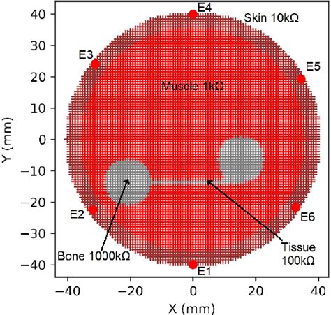 Figure 1 From An Event Driven Approximate Bio Electrical Model Generating Surface
