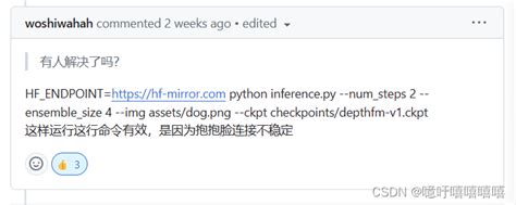 （深度估计学习）depthfm复现win11 csdn博客