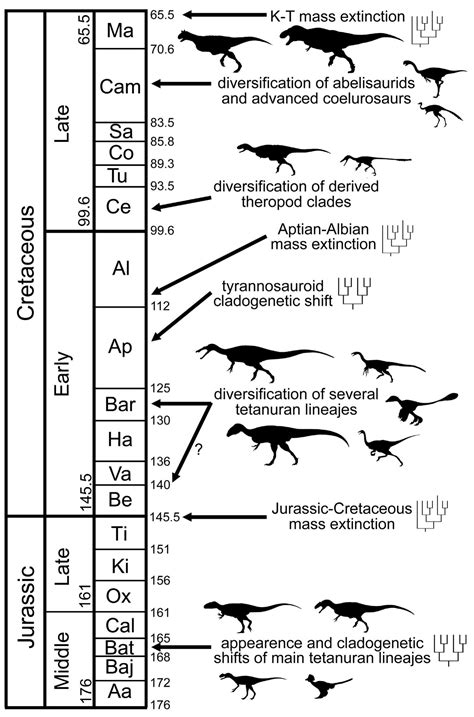 Global Macroevolutionary Patterns Of Theropod Dinosaurs