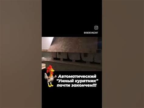 Умный (автоматический) курятник, почти готов!!! - YouTube