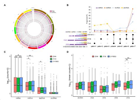 NcRNA Profiles Of The Hybrid And Its Parents A Location Information Download Scientific