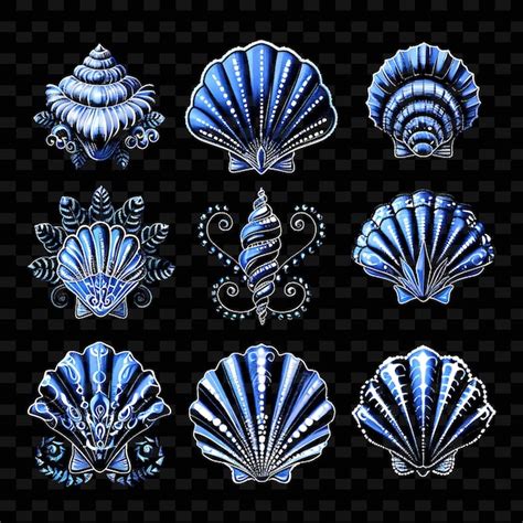 Premium Psd A Collection Of Sea Shells And A Black Background With A Black Background