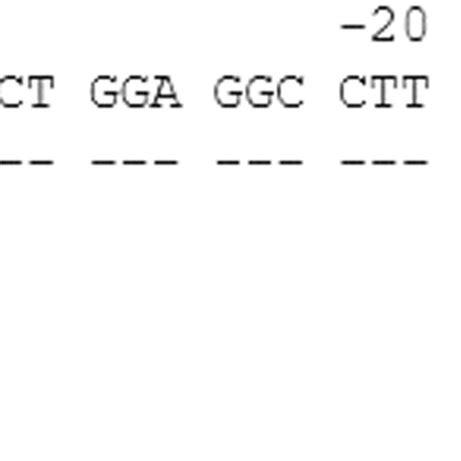 Alignment Of The Exon Nucleotide Sequence Of The Novel Download Scientific Diagram