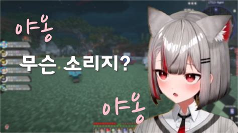 [마시로 포켓몬 서버] 갑자기 들려오는 고양이 소리 Youtube