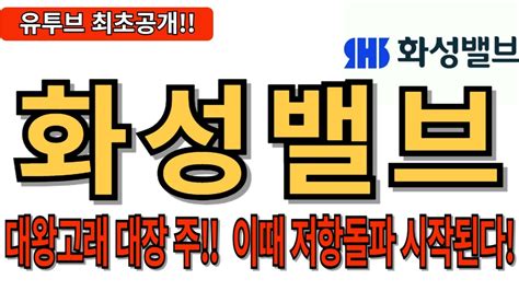 화성밸브 대왕고래 대장 주 다음주 15000원 돌파 시작됩니다 Youtube