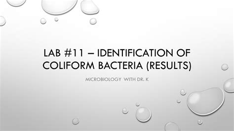 How Do You Identify Coliform Bacteria At Jeffrey Gavin Blog