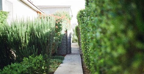 Terravault Tree Root Protection Your Questions