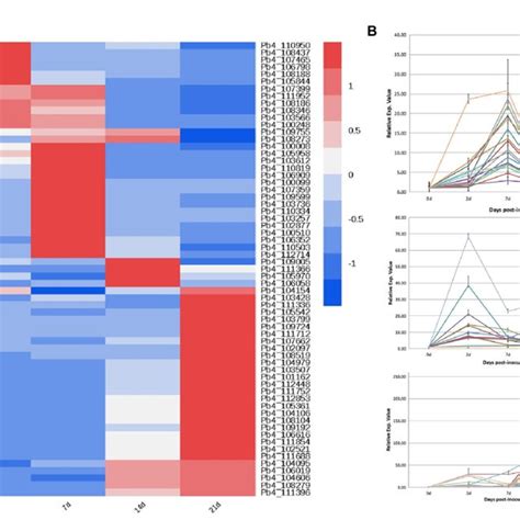 Expression Profiles Of Putative Effector Genes In The Root Samples Of Download Scientific