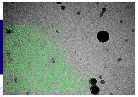 Template Picker Did Not Pick The Whole Image Particle Picking