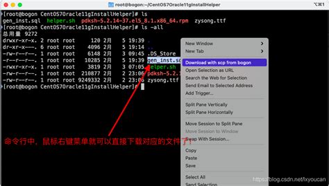 Iterm2 使用Shell Integration真香！_iterm2 shell integration-CSDN博客