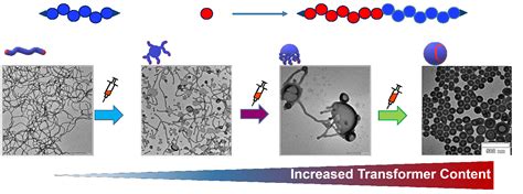 Transformer Induced Metamorphosis Of Polymeric Nanoparticle Shape At Room Temperature Mirage News