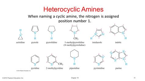 Natural Products And Classification Ppt Video Online Download
