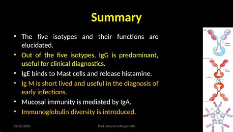 Lecture 18 Types Of Immunoglobulins Their Isotypes And Generation Of