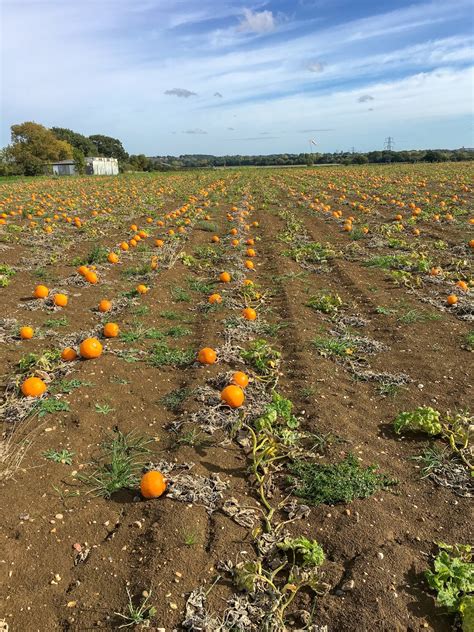 Doing It For The Gram — Peexo Style Beauty And Home In London