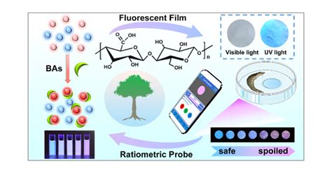 Lignin Derived Carbon Dotcellulose Nanofiber Films For Real Time Food Freshness Monitoring