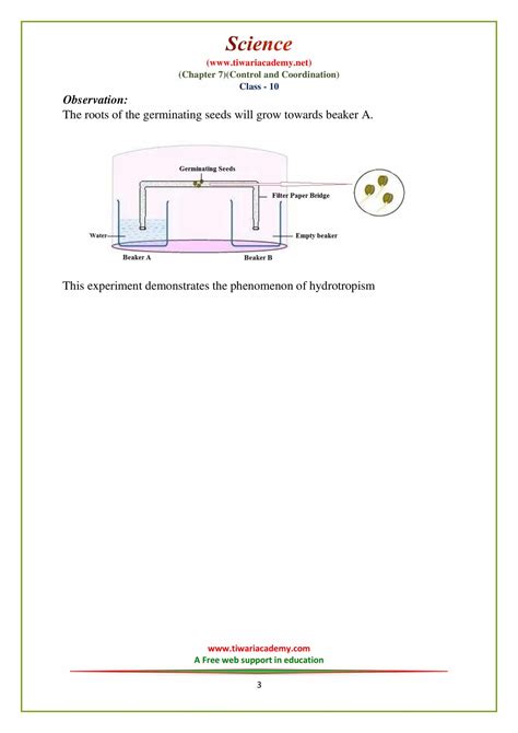 NCERT Solutions For Class 10 Science Chapter 7 Updated For 2022 23 PDF