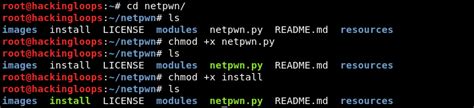 Performing Diverse Penetration Tasks Using Netpwn Framework