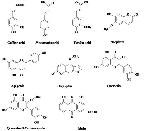 The Structures Of The Eight Analytes And The Internal Standard Download Scientific Diagram
