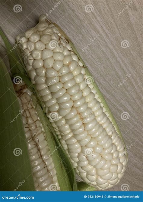 Pile Of White Corn Cubs Stock Image Image Of Corn Meal 252180943