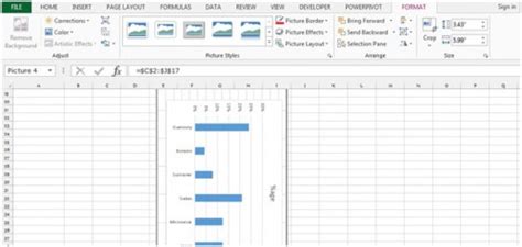 dynamic charts using camera tool in microsoft excel 2010